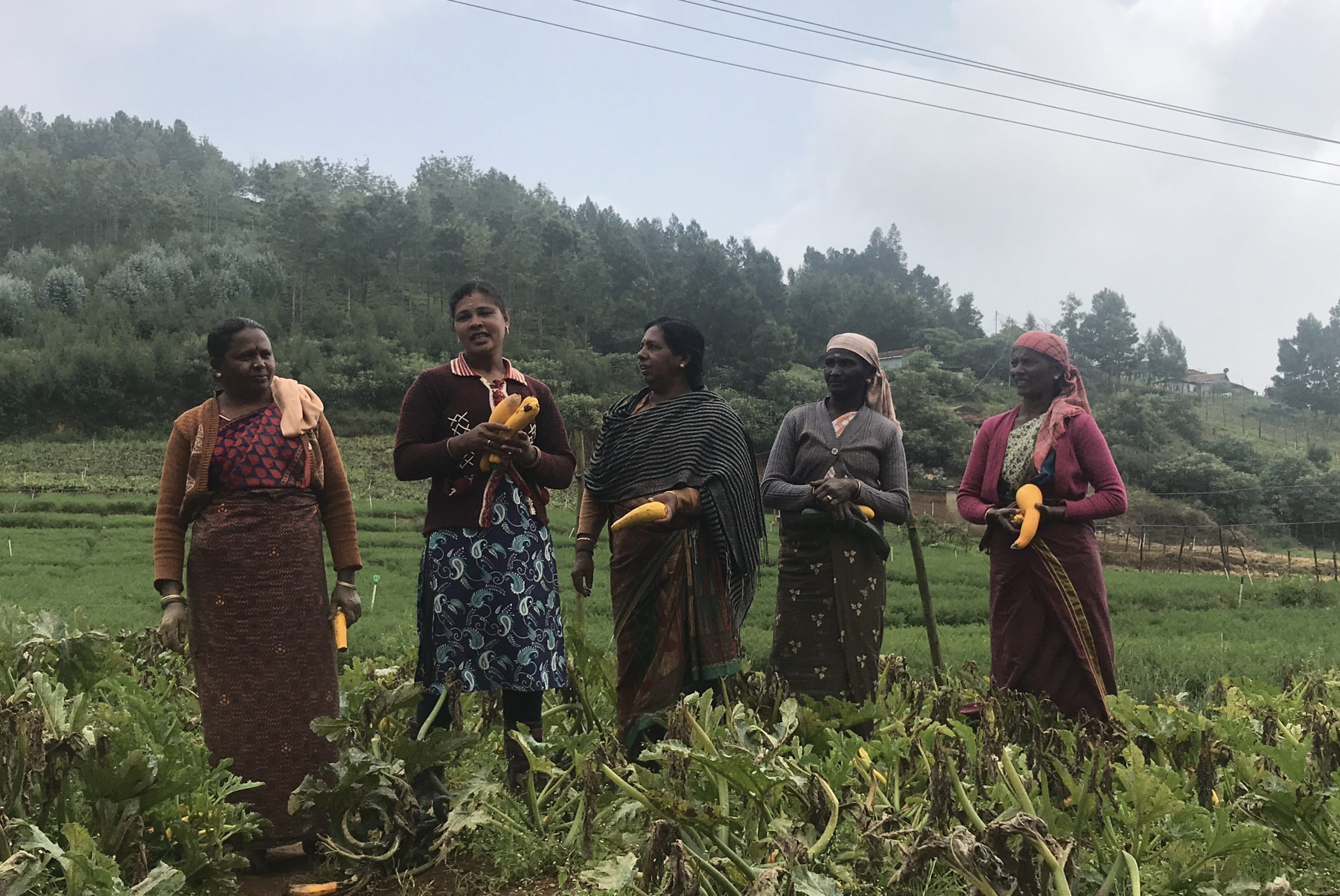 WASTE & RDO Trust- Production and Application of Co-compost for ...