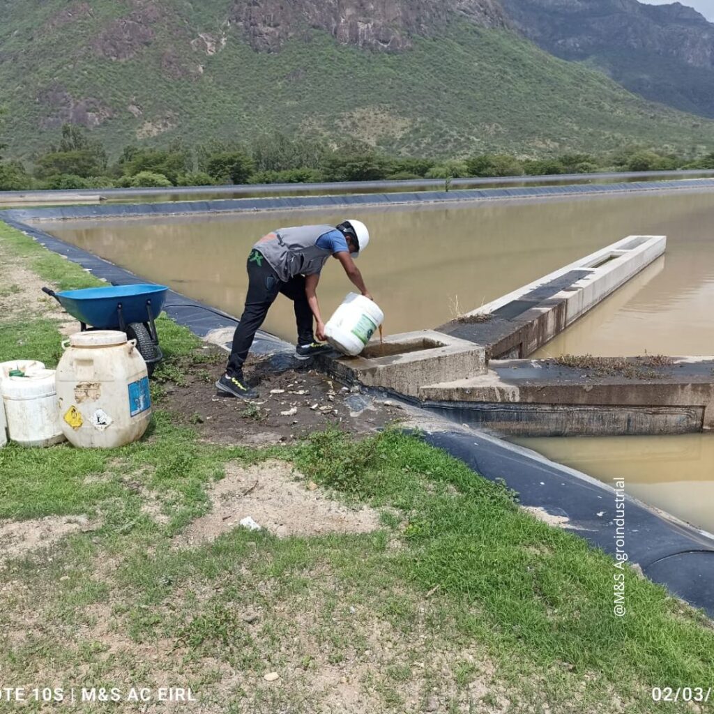 Invest - Toilet Board Coalition